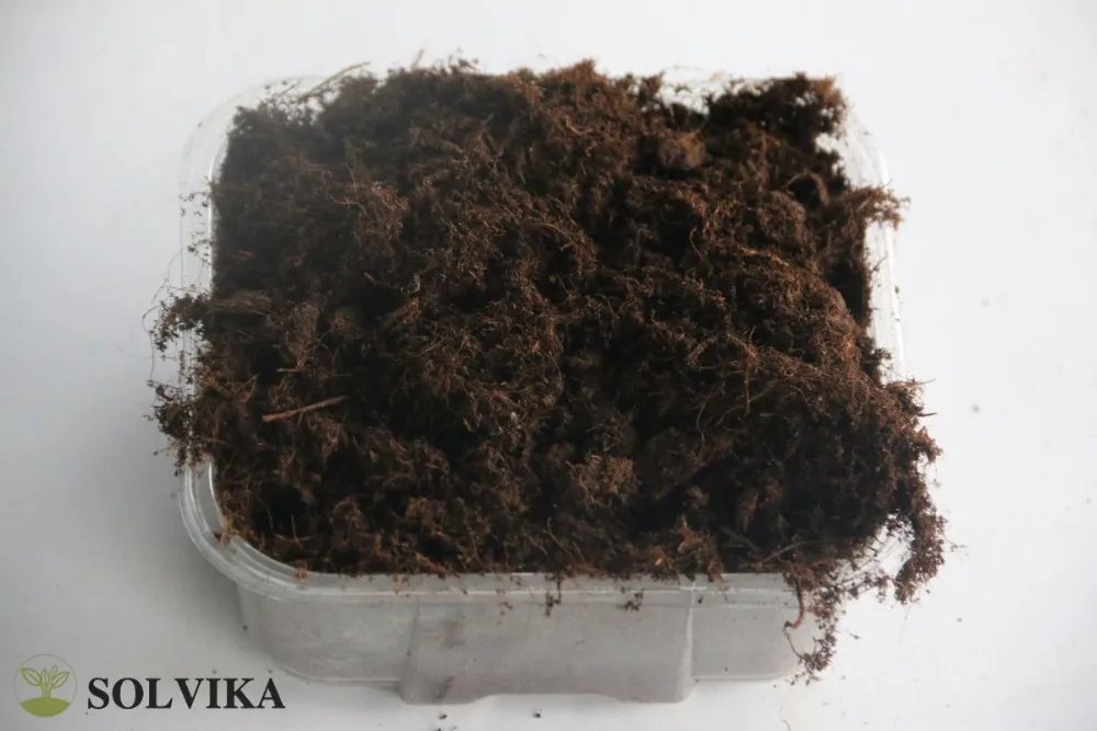 SOLVIKA Peat Moss - Universal Growing Medium from Lithuania