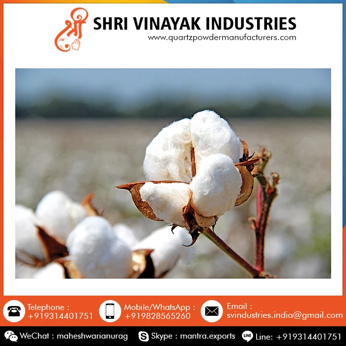Wholesale 100% Pure Organic Raw Cotton - Sustainable & High Quality