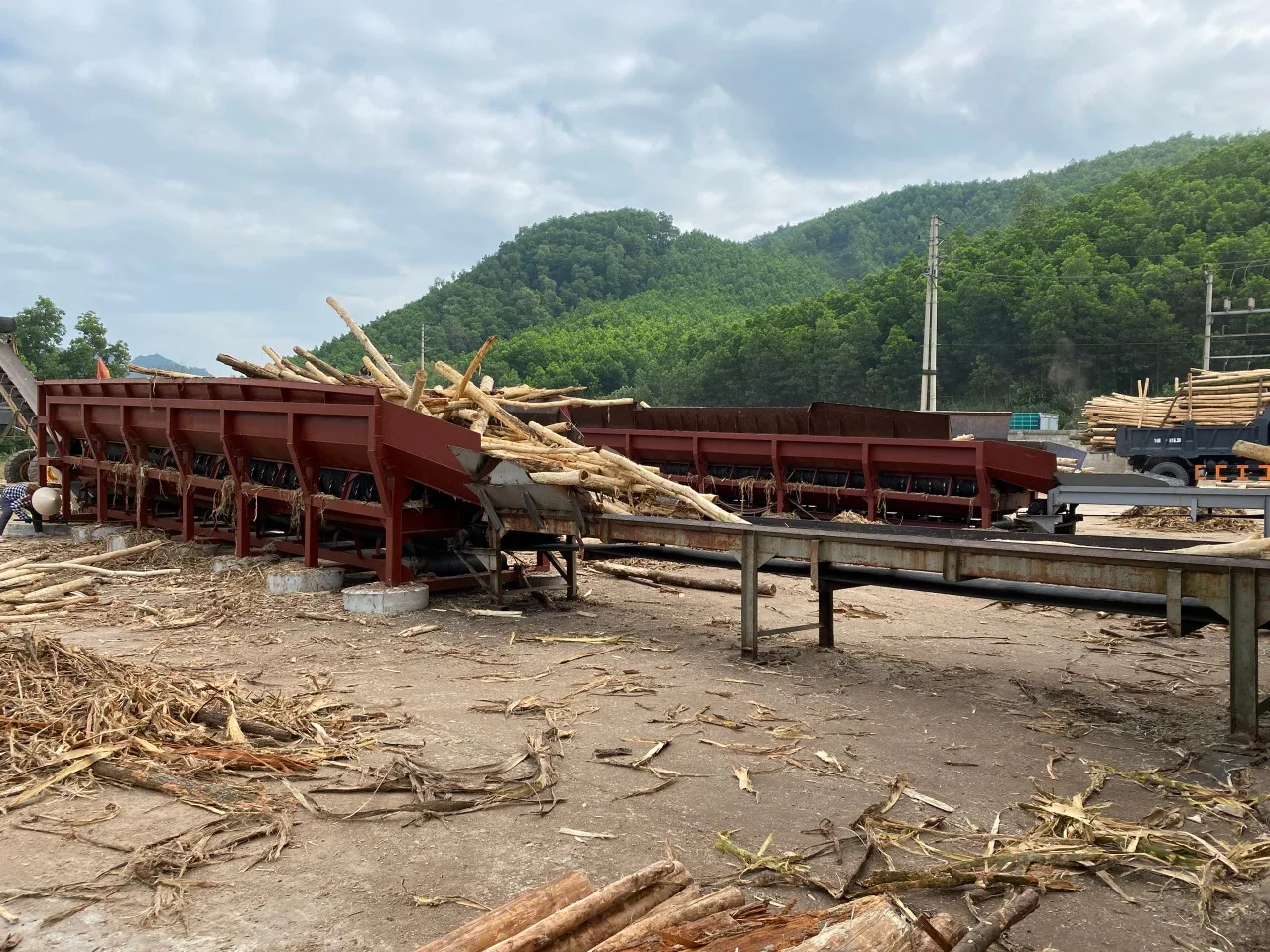 Acacia Wood Chips from Vietnam - 150,000 Bdmt/month