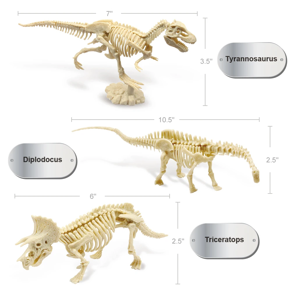 Dinosaur Ancient Fossils Skeleton Excavation Kit Dino Stem Assemble ...