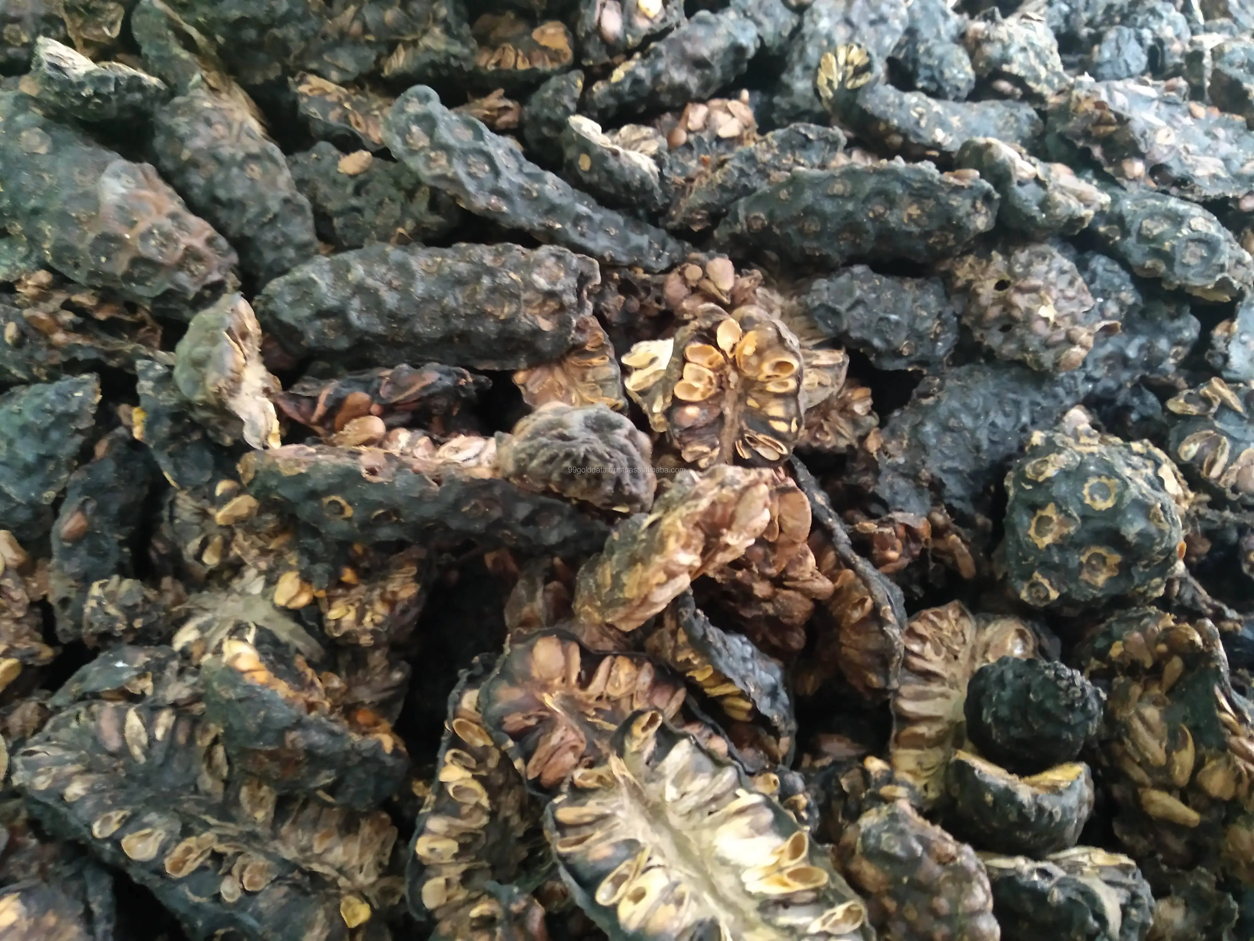 Wholesale Frozen Noni Fruit Dried Noni Fruit At Low Prices Hot Deal ...