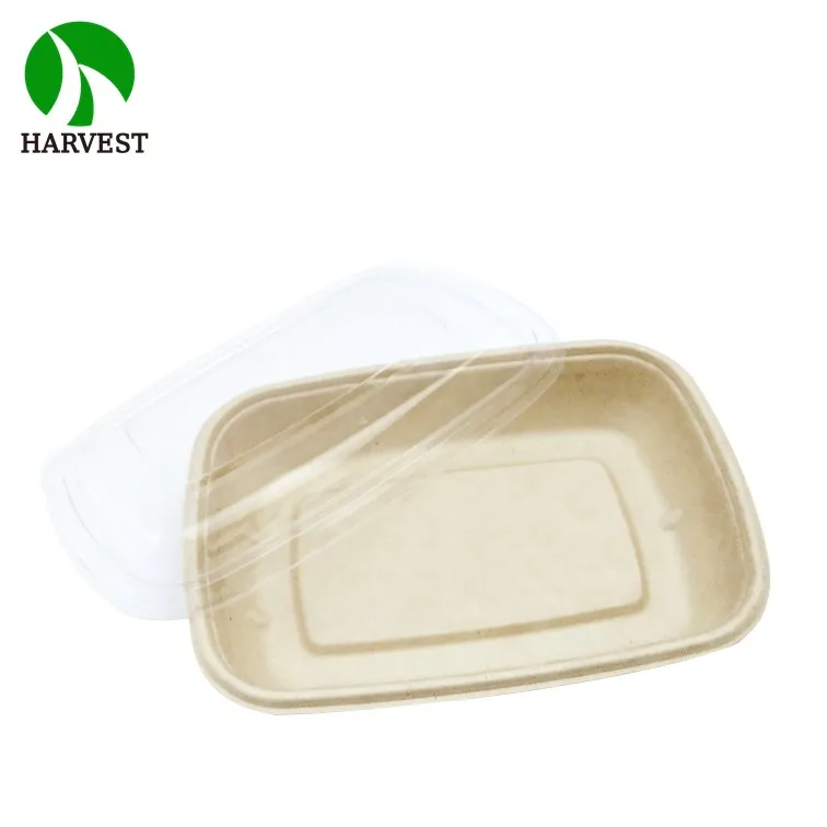 Rectangular Disposable Biodegradable 1000ml Bagasse Food Container ...