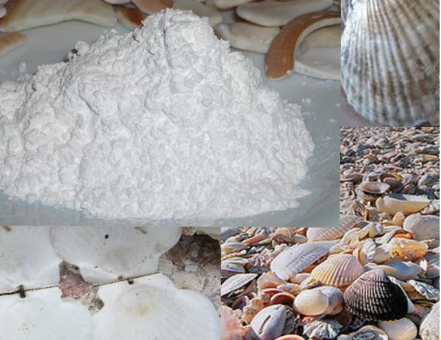 Crushed Sheashell/ Sea Shell Powder For Poultry Feed Export From ...